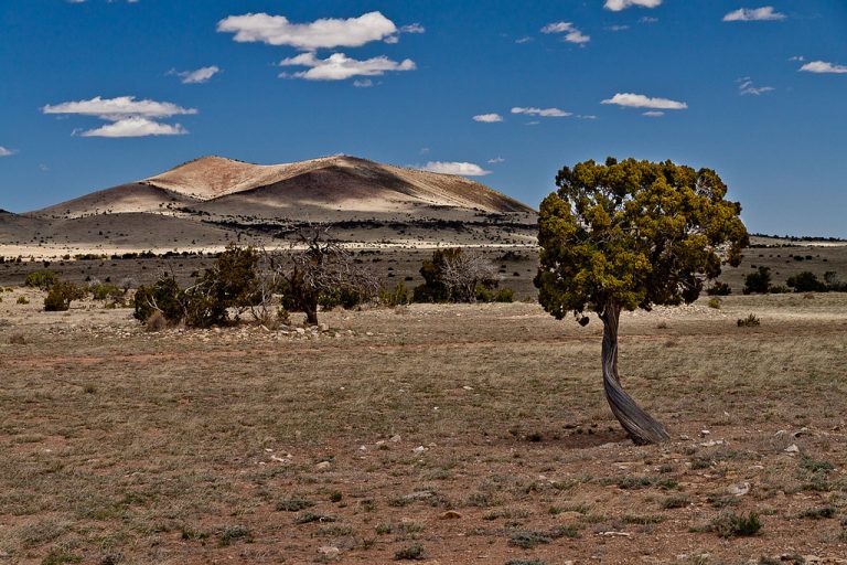 Passage 35: Babbitt Ranch – Explore the Arizona Trail