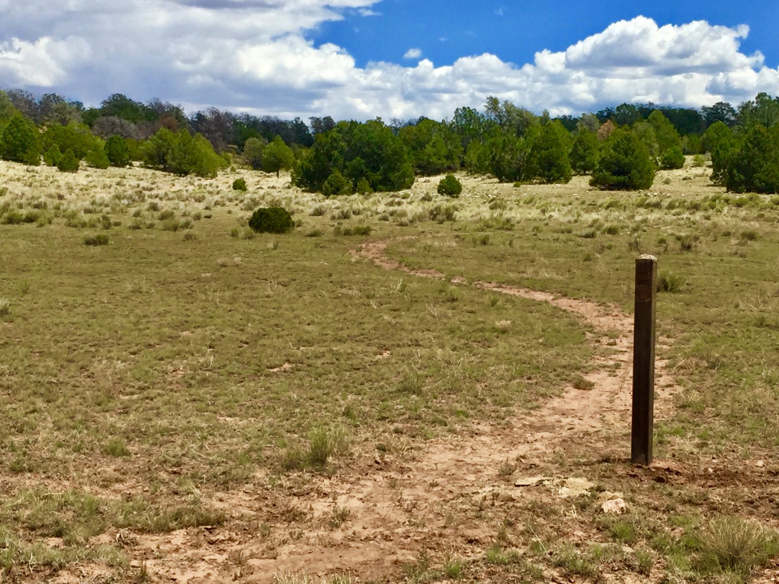 Passage 35: Babbitt Ranch – Explore the Arizona Trail