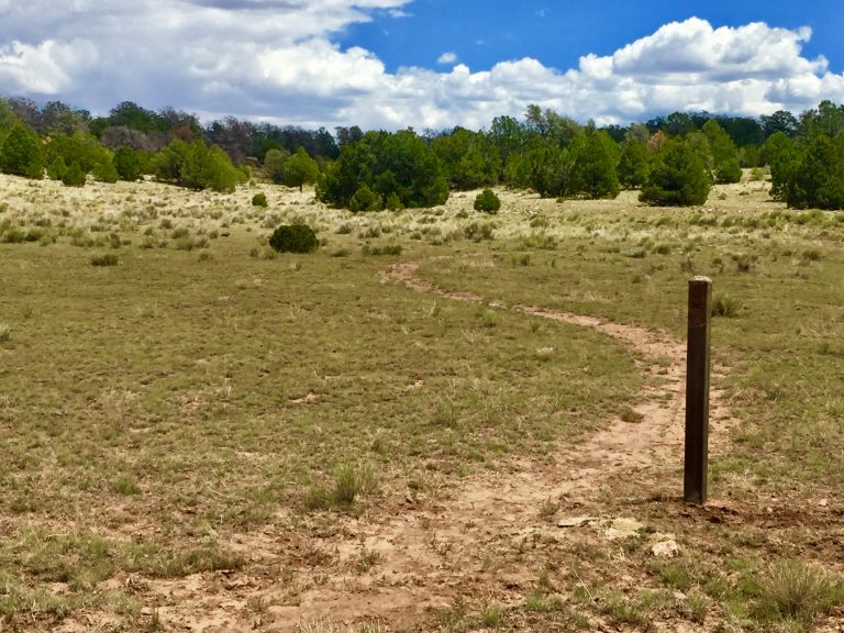 Passage 35: Babbitt Ranch – Explore the Arizona Trail